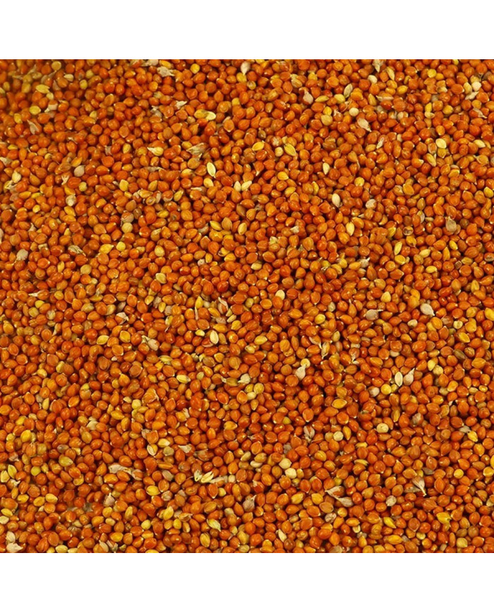 PAINÇO / MILHO ALVO VERMELHO 20 KG